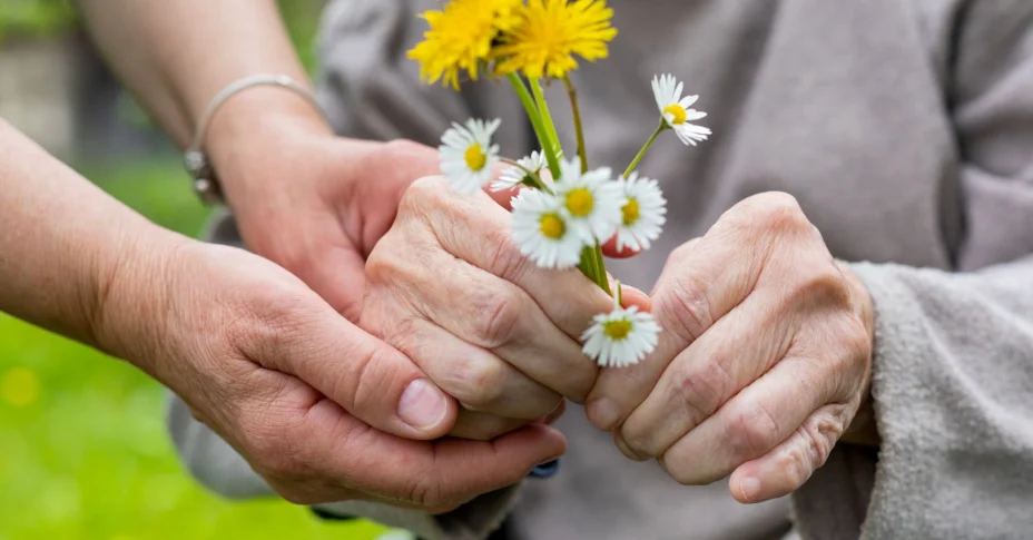 Personal welfare deputy: everything you need to know - Peter Ross